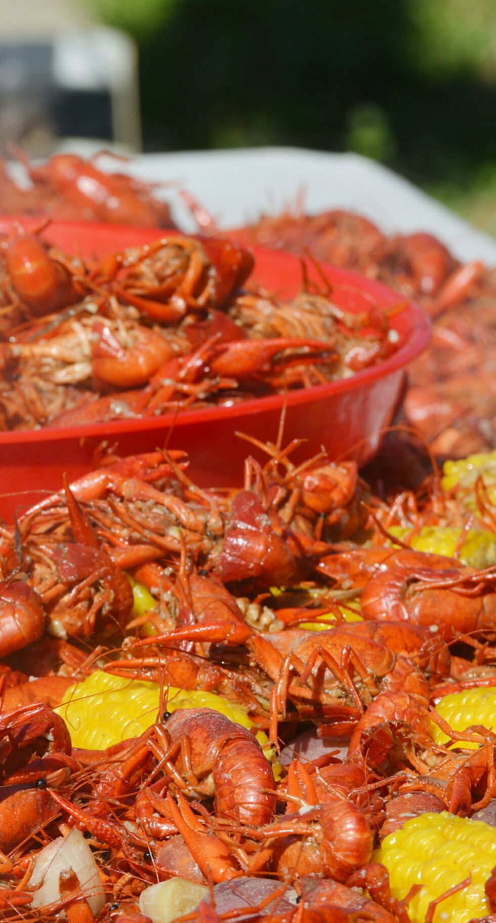 About Good Oil Days Festival | Humble, TX